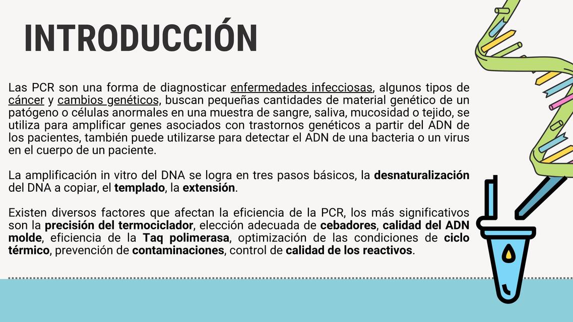 PCR pdf | Perlcst | uDocz