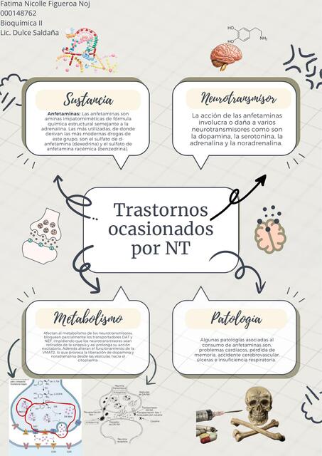 MapaMentalNT | Fatima | uDocz