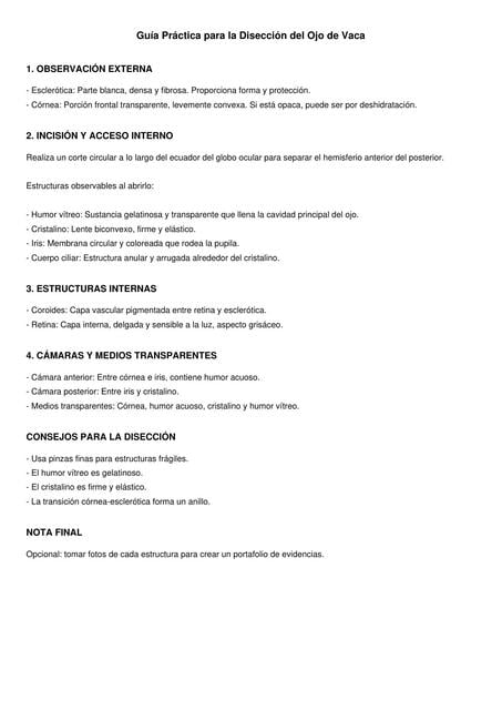 Guia Diseccion Ojo Vaca | Flaco | uDocz