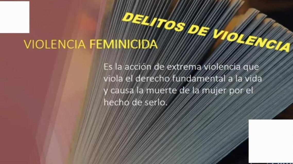 Delitos de violencia | Reyna | uDocz