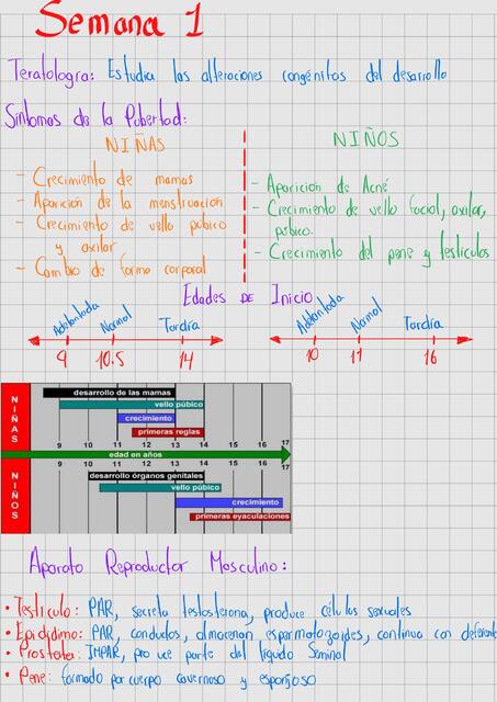 EMBRIO RESUMEN | Josselyn Liz Feli Valenzuela Vargas | uDocz