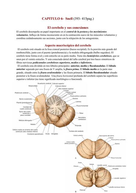 CAPITULO 6 Snell | Pam | uDocz
