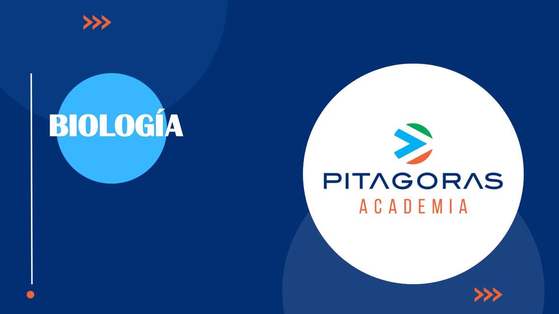 document | Tati | uDocz