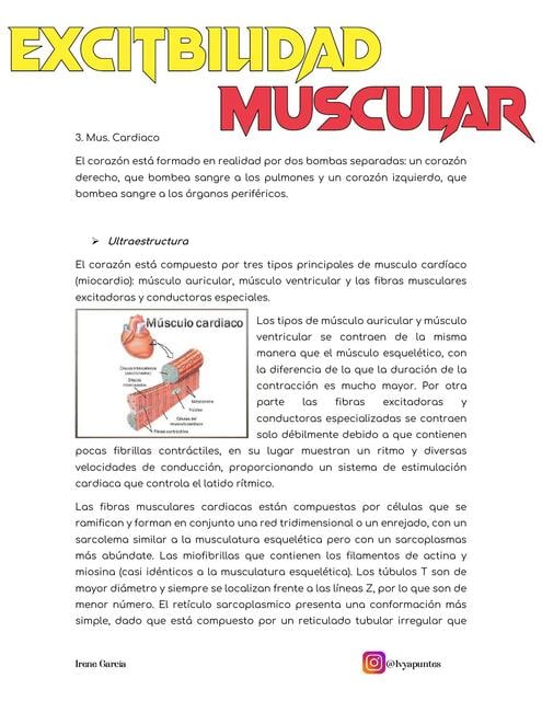 Flashcards de EXCITABILIDAD MUSCULAR - Músculo Cardíaco - Irene García ...