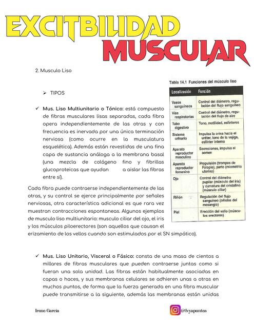 EXCITABILIDAD MUSCULAR - Músculo Liso - Irene García | Irene García | uDocz