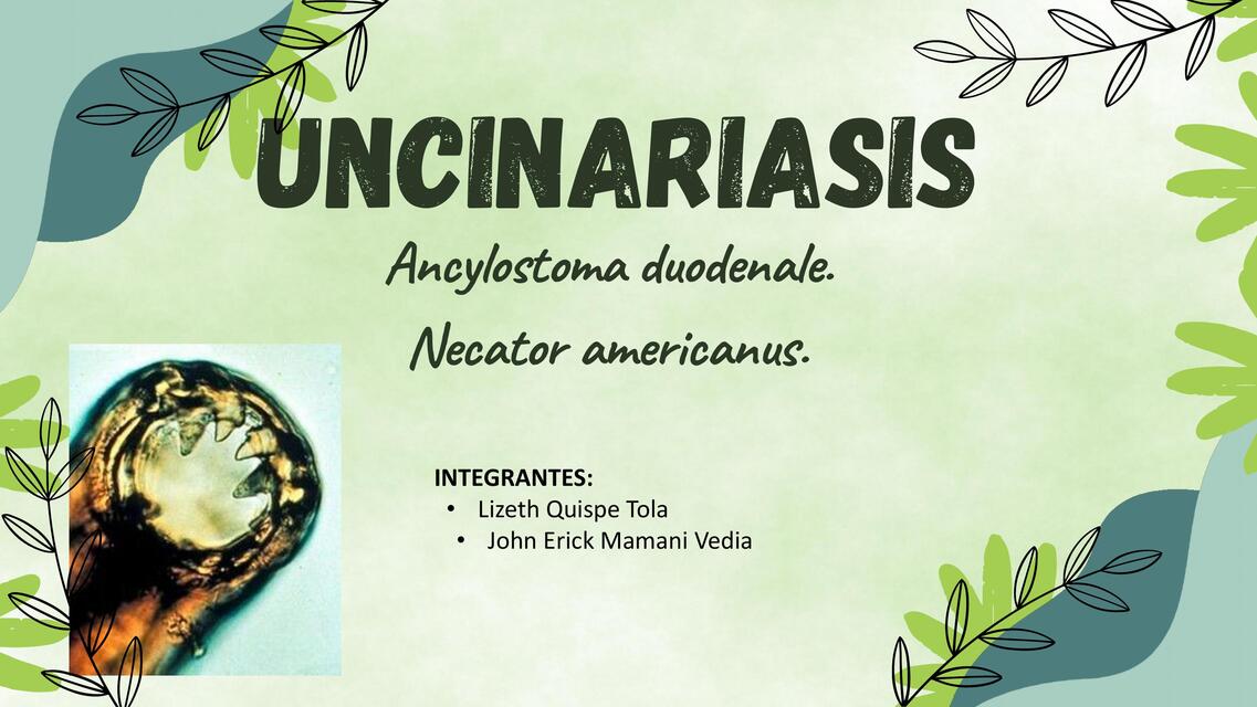 Uncinariasis | Lizeth | uDocz