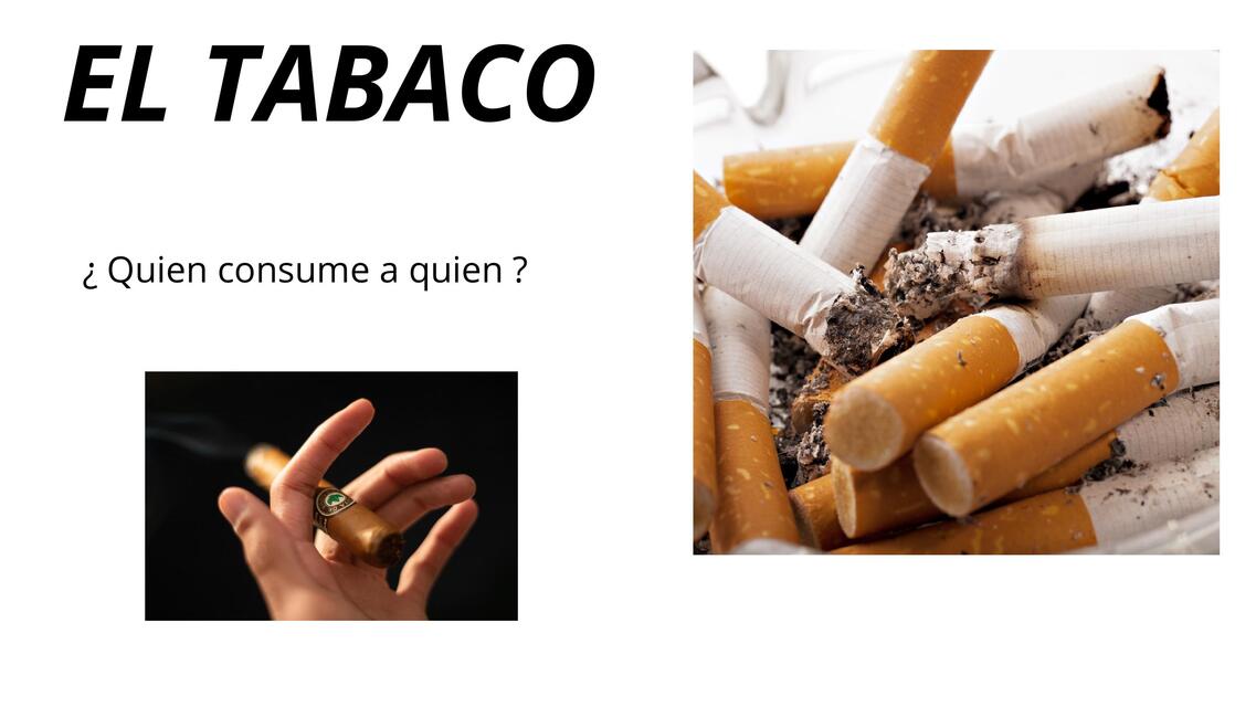 EL TABACO 1 2 | John | uDocz