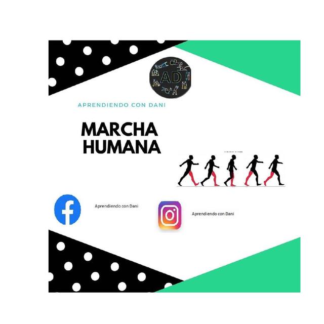 Marcha humana | Aprendiendo con Dani | uDocz