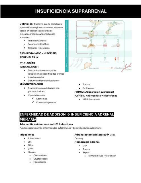 Flashcards de Insuficiencia suprarrenal. COO | Por CarinaMed | uDocz