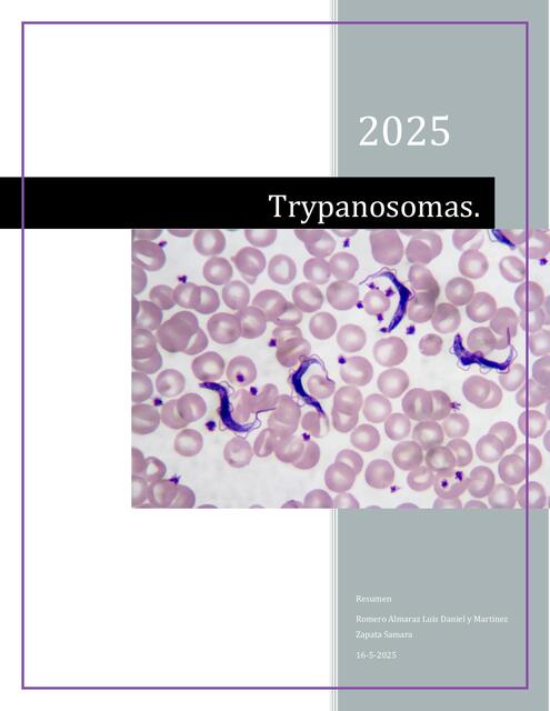 Trypanosoma brucei y cruzi | David | uDocz