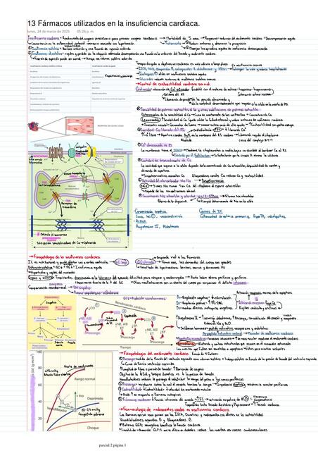 Farmacologia katzung 13 Fármacos utilizados en la insuficiencia cardiac | Dayana Alejandra | uDocz