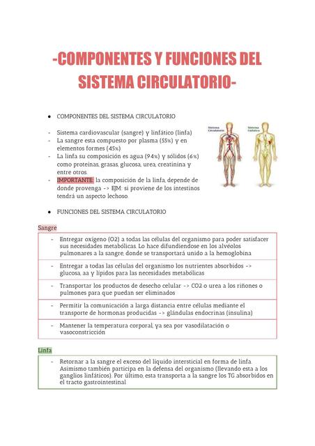 - SISTEMA CIRCULATORIO - | uDocz