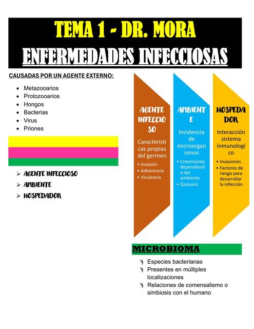 INFECTO 1 ENFERMEDADES INFECCIOSAS | Shafeska Callimore Samuels | uDocz