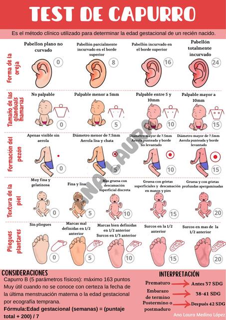 Test de CAPURRO B | ANA LAU MEDINA | uDocz