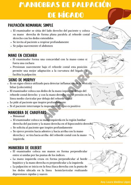 Maniobras de palpación de hígado | ANA LAU MEDINA | uDocz