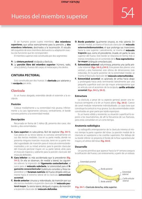 Miembro superior | Kay Naranjo | uDocz