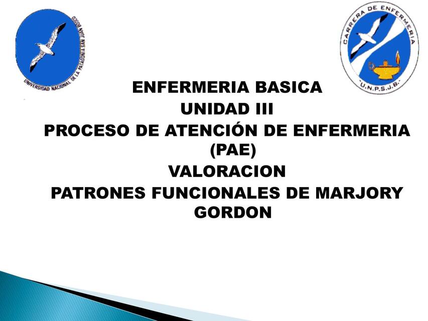 PAE 25 1 | Karina | uDocz