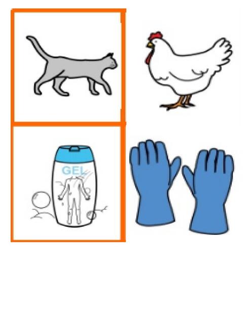 recortes con G | karimedsnotes | uDocz