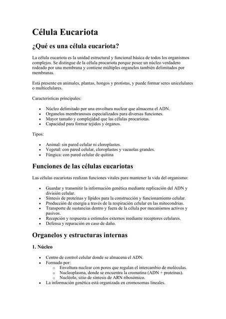 Célula Eucariota | Estefania | uDocz