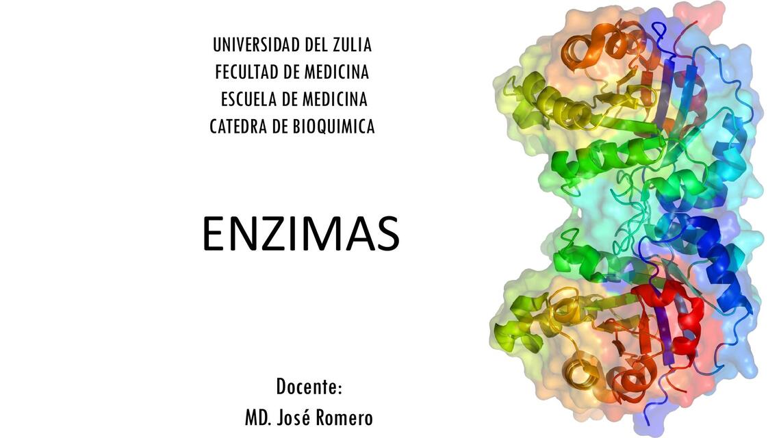 clase ENZIMAS | Marian | uDocz