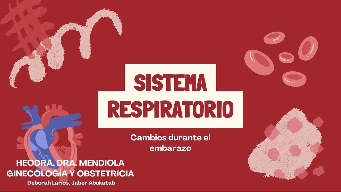 Sistema respiratorio en embarazo pdf | Deborah | uDocz