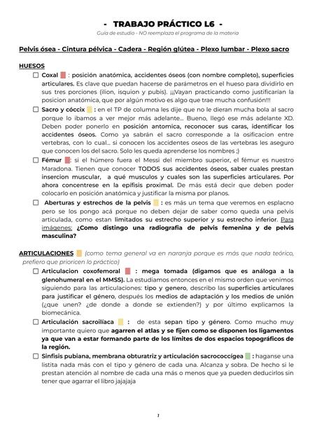 GUÍA TRABAJO PRÁCTICO L6 | Lia | uDocz