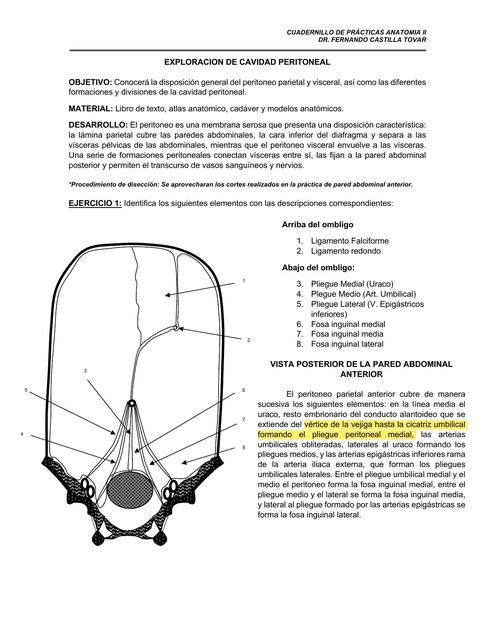EXPLORACION DE CAVIDAD PERITONEAL | MX Finny | uDocz