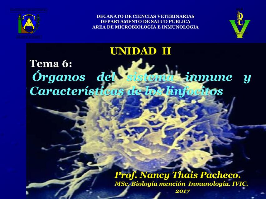 TEMA 6 ORGANOS Y LINFOCITOS PREGRADO | jose Augusto | uDocz