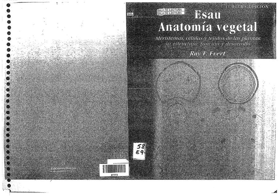 Anatomia vegetal Evert Esau mala calidad | Joaquin Armida | uDocz