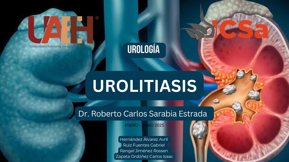 Urolitiasis pdf | ANGEL | uDocz