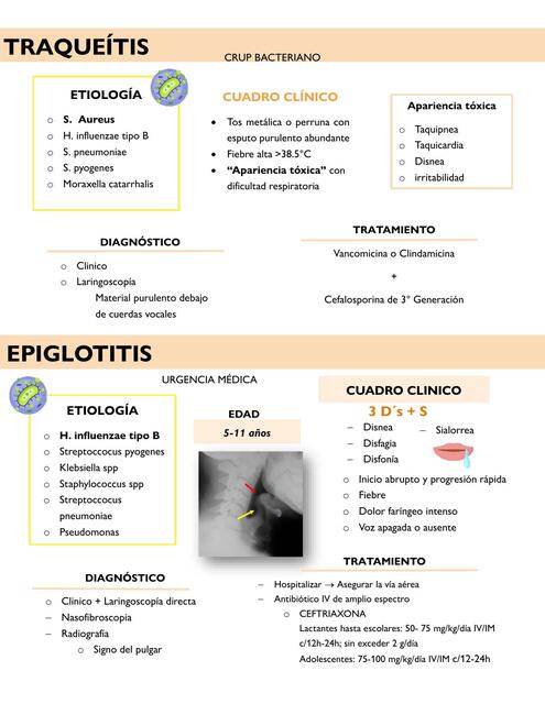 TRAQUEITIS Y EPIGLOTITIS - Pediatría | Ale Hernández | uDocz