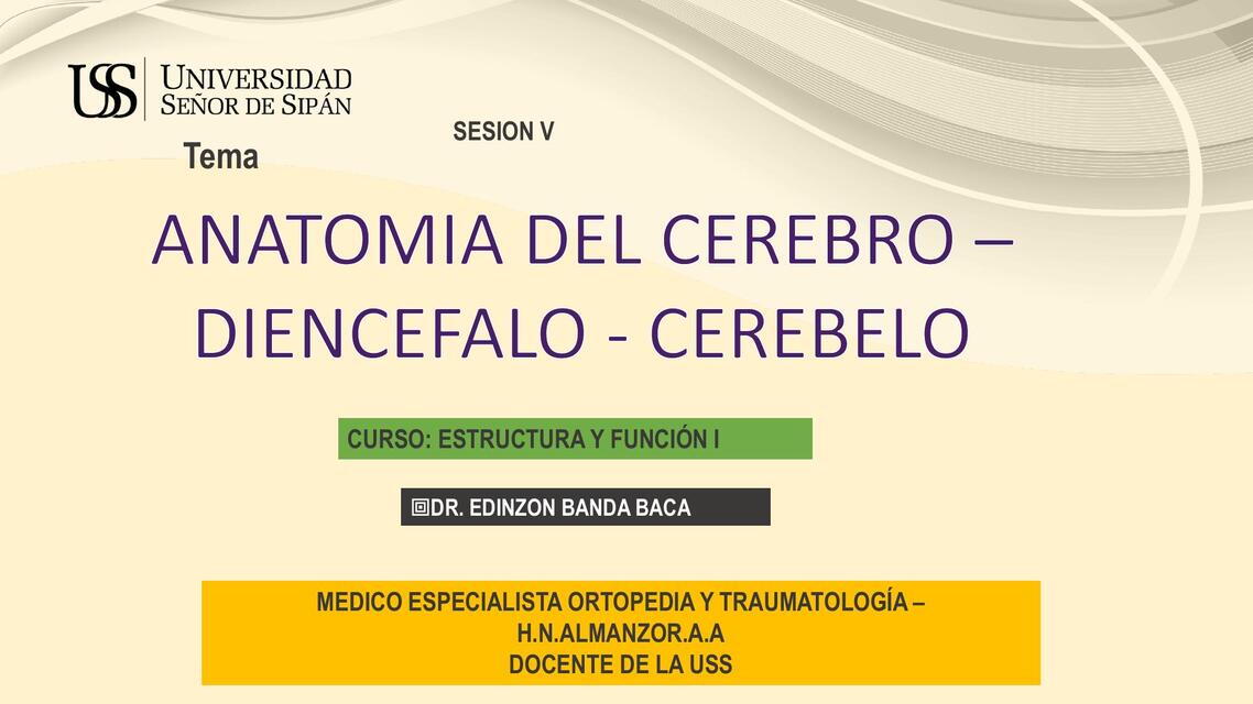 ANATOM CER DIENC CERE 1 | Carlos | uDocz