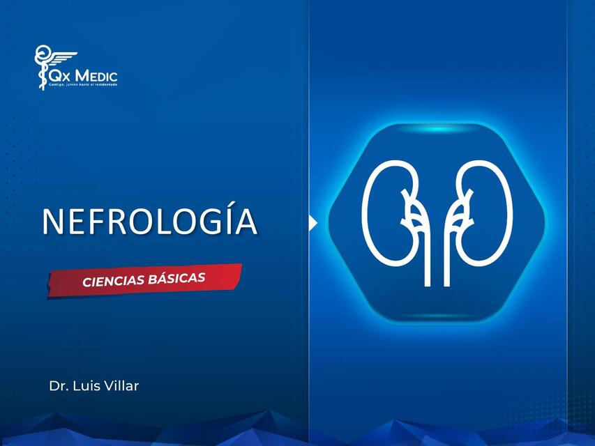 Flashcards de PI25 CCBB NEFROLOGÍA 1 | Por Lucy Valdivia | uDocz