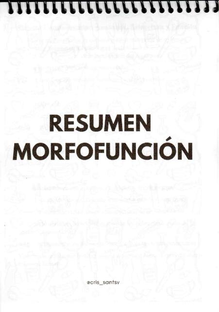 RESUMEN MORFO | Frankk | uDocz