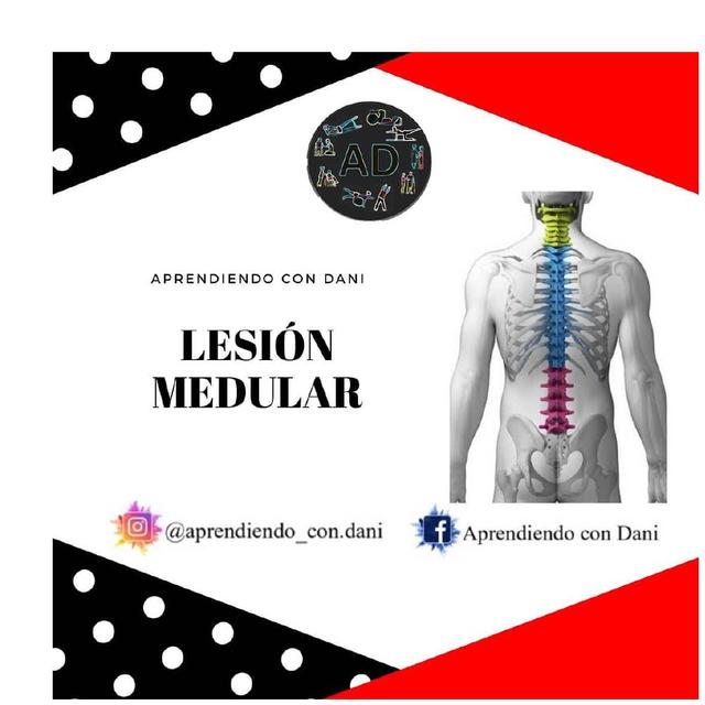 Lesion medular | Aprendiendo con Dani | uDocz