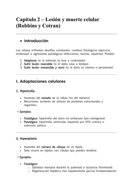 resumen AP cap 2 puntos claves | Sofia | uDocz
