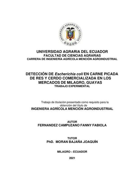 FERNANDEZ CAMPUZANO FANNY FABIOLA | ALEX CHACA ALI | uDocz