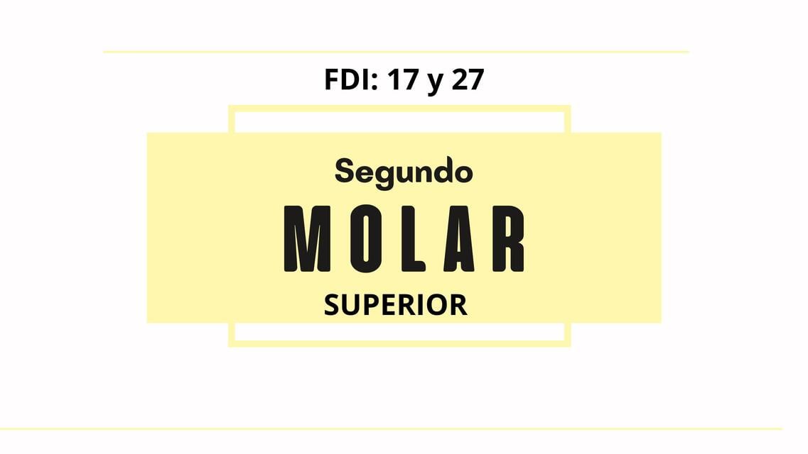 Segundo Molar Superior | IRIEL | uDocz