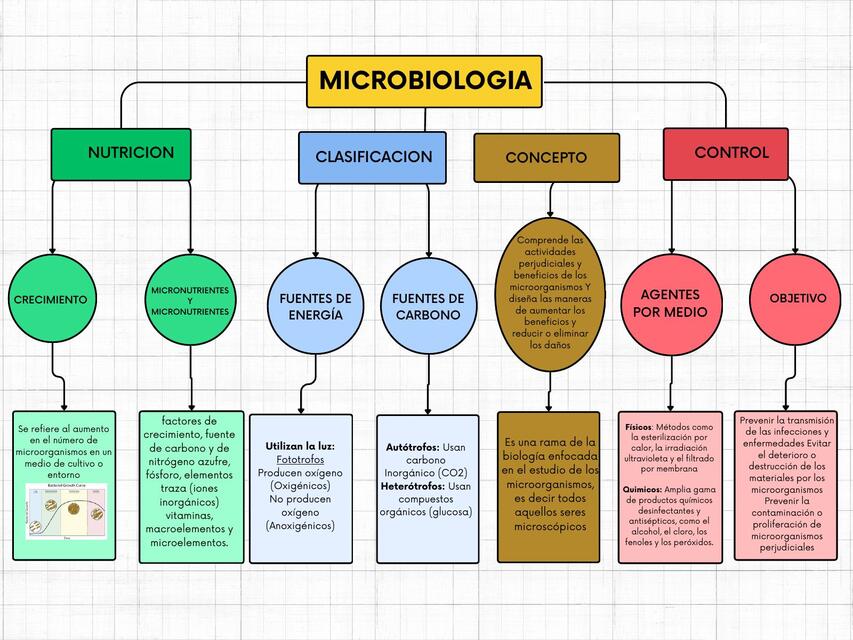 Mapa Conceptual MICROBIOLOGIA | Eleazar | uDocz