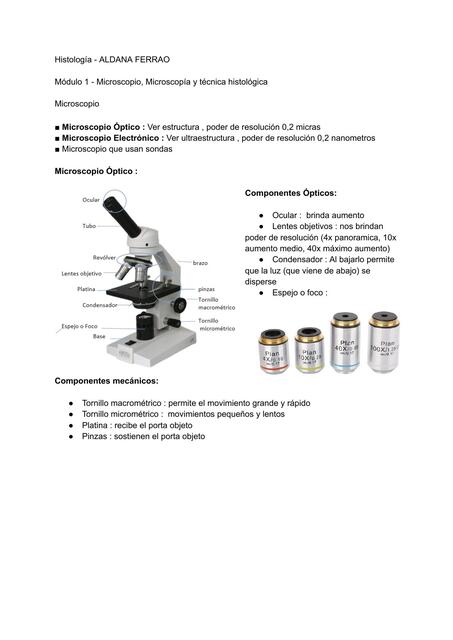 Histología 1 | Sofia | uDocz
