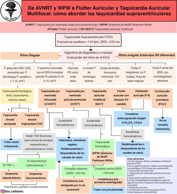 TAQUICARDIAS SUPRAVENTRICULARES | Dr. Boris Moises Caillares Montaño | uDocz
