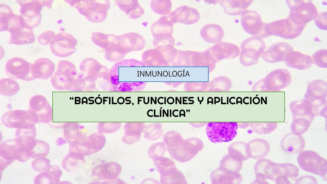 BASÓFILOS FUNCIONES Y APLICACIÓN CLÍNICA | katty Ramirez | uDocz