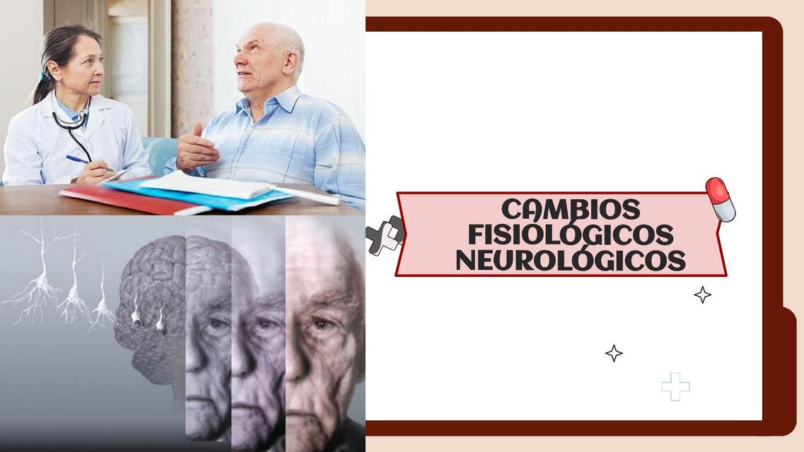 CAMBIOS FISIOLOGICOS NEUROLOGICOS | katty Ramirez | uDocz
