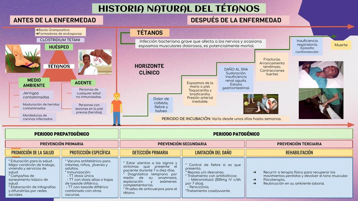 HISTORIA NATURAL DEL TÉTANO | katty Ramirez | uDocz