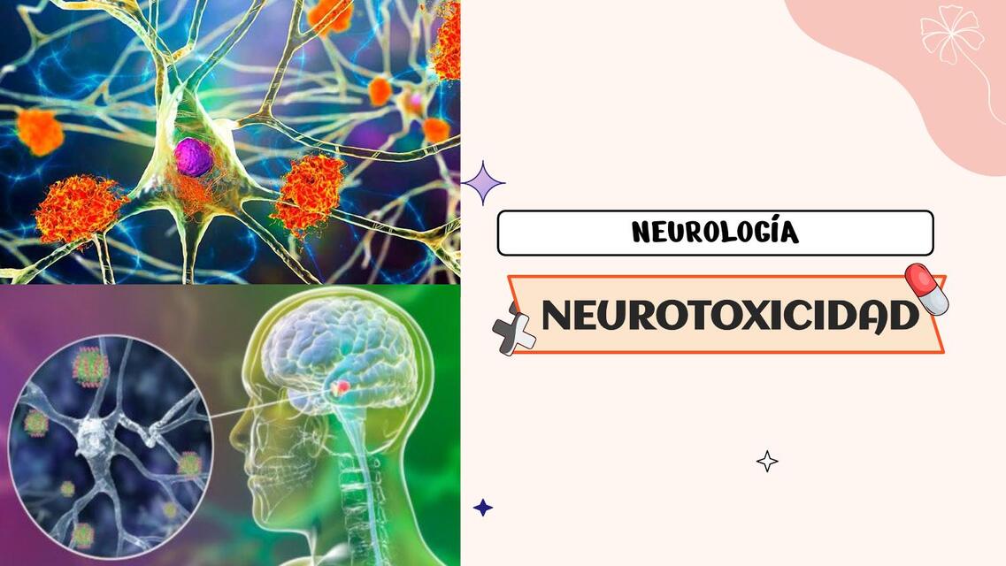 NEUROTOXICIDAD CRÓNICA | katty Ramirez | uDocz