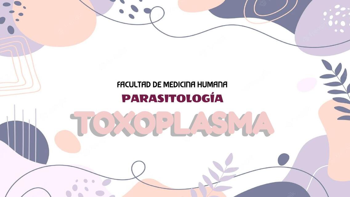 TOXOPLASMA | katty Ramirez | uDocz