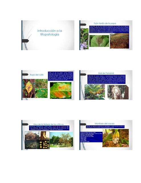 INTRODUCCION A LA FITOENCA publicar | Cesar enrique | uDocz