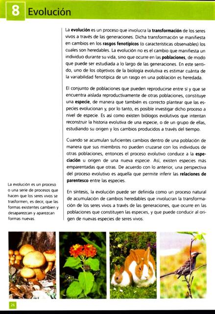 evolucion evidencias | Sofia | uDocz