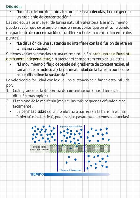 Transporte de membrana | Paula | uDocz