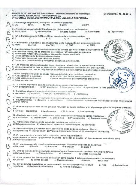 primer parcial HISTO UMSS | Nova | uDocz